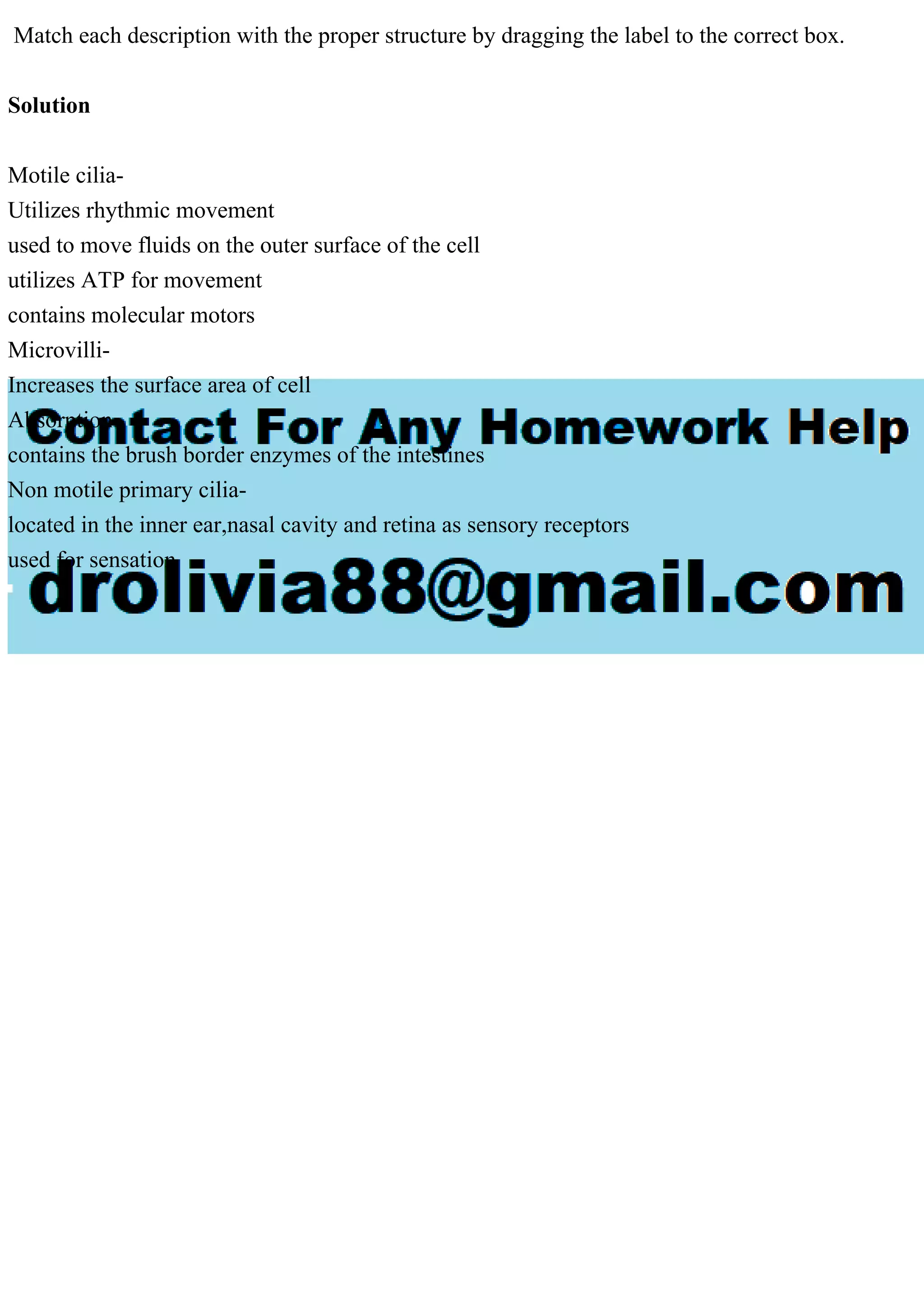 Match each description with the proper structure by dragging the labe ...