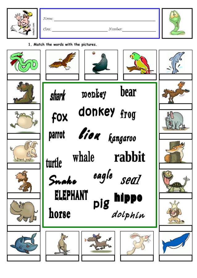 Matching Animals | DOC