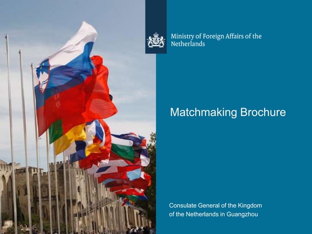 Matchmaking brochure | PPT