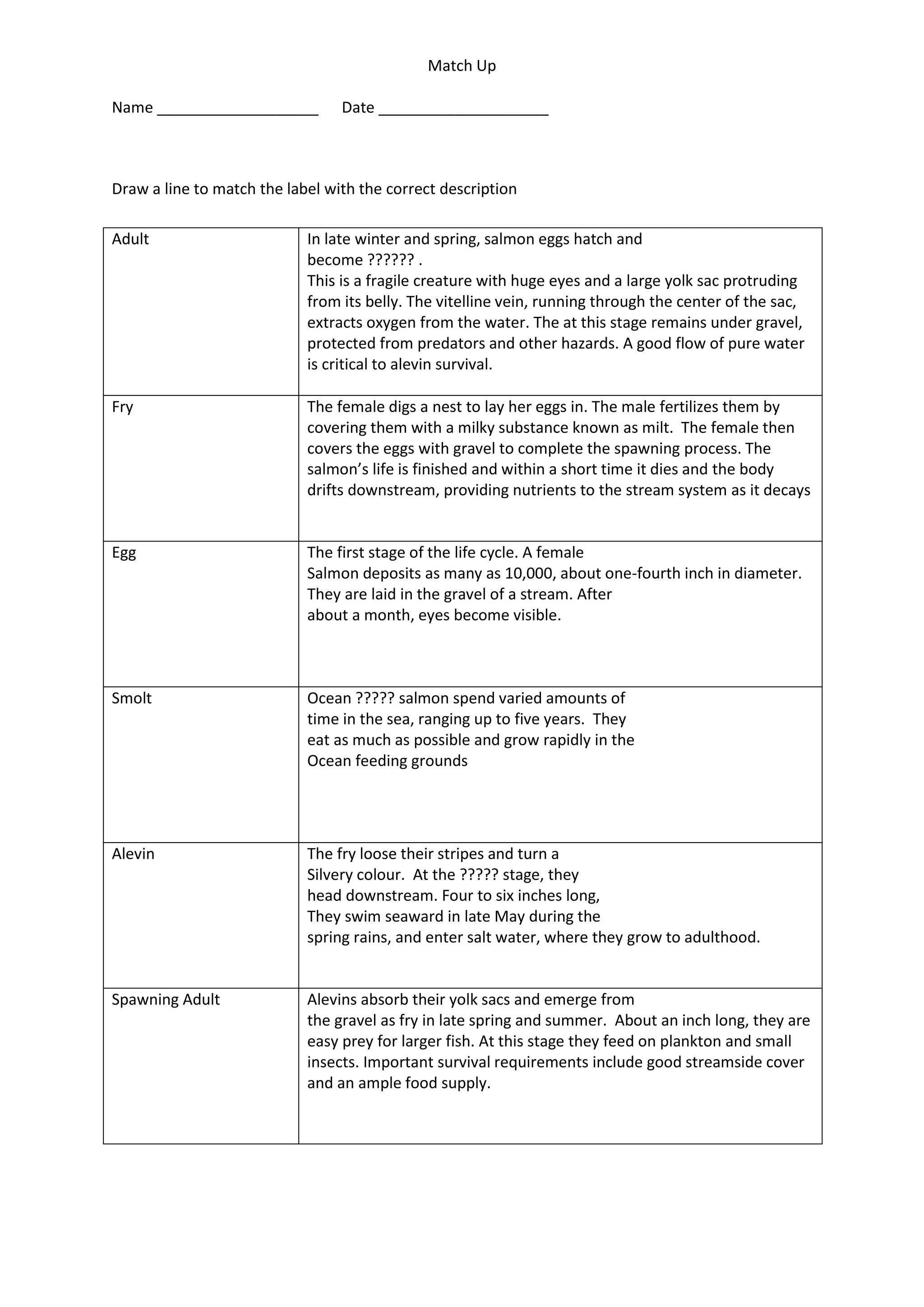 Match Up Worksheet Pdf