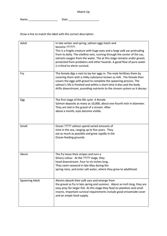 Match up worksheet | DOCX