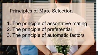 MATE-SELECTION.pdf