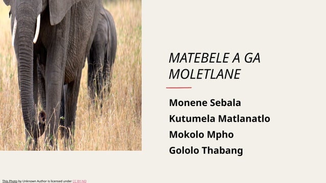 Matebele a ga moletlane AFT 121 Presentations | PPTX