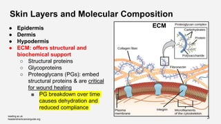 Novel Use of Biomimetic Proteoglycans to Molecularly Engineer the ...