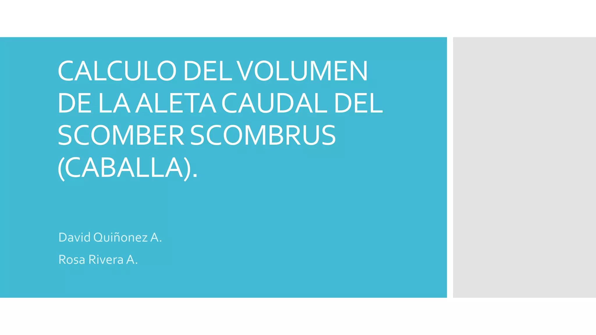 CALCULO DEL VOLUMEN DE LA ALETA CAUDAL DEL SCOMBER SCOMBRUS (CABALLA ...