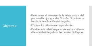 CALCULO DEL VOLUMEN DE LA ALETA CAUDAL DEL SCOMBER SCOMBRUS (CABALLA ...