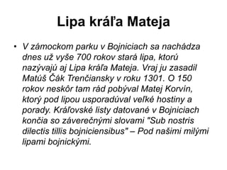 Matej Korvín.ppt