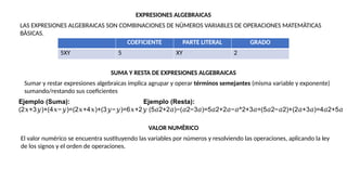 Expresiones algebraicas Fernando Nieto.pptx