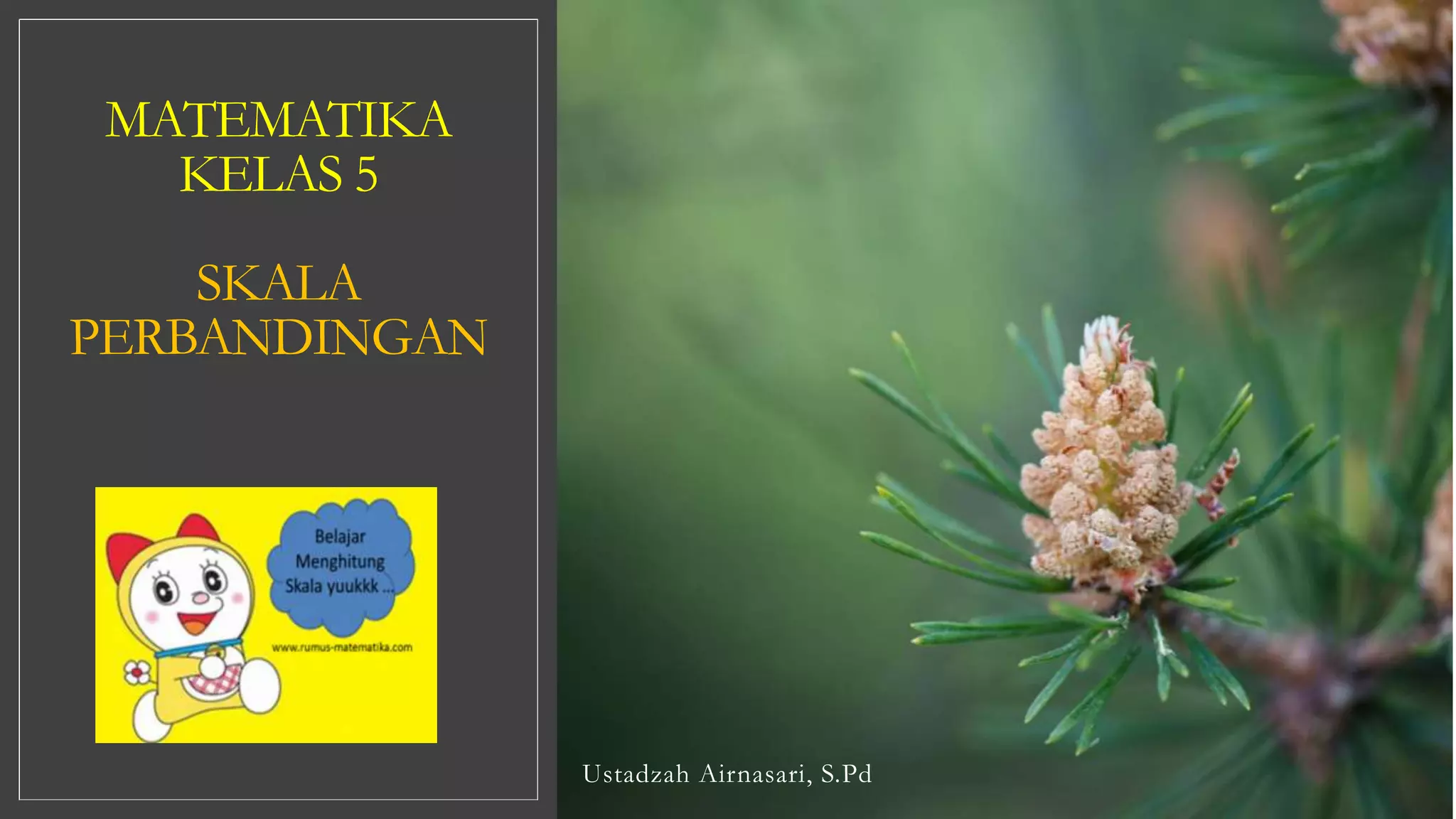 SKALA-PERBANDINGAN | PPT