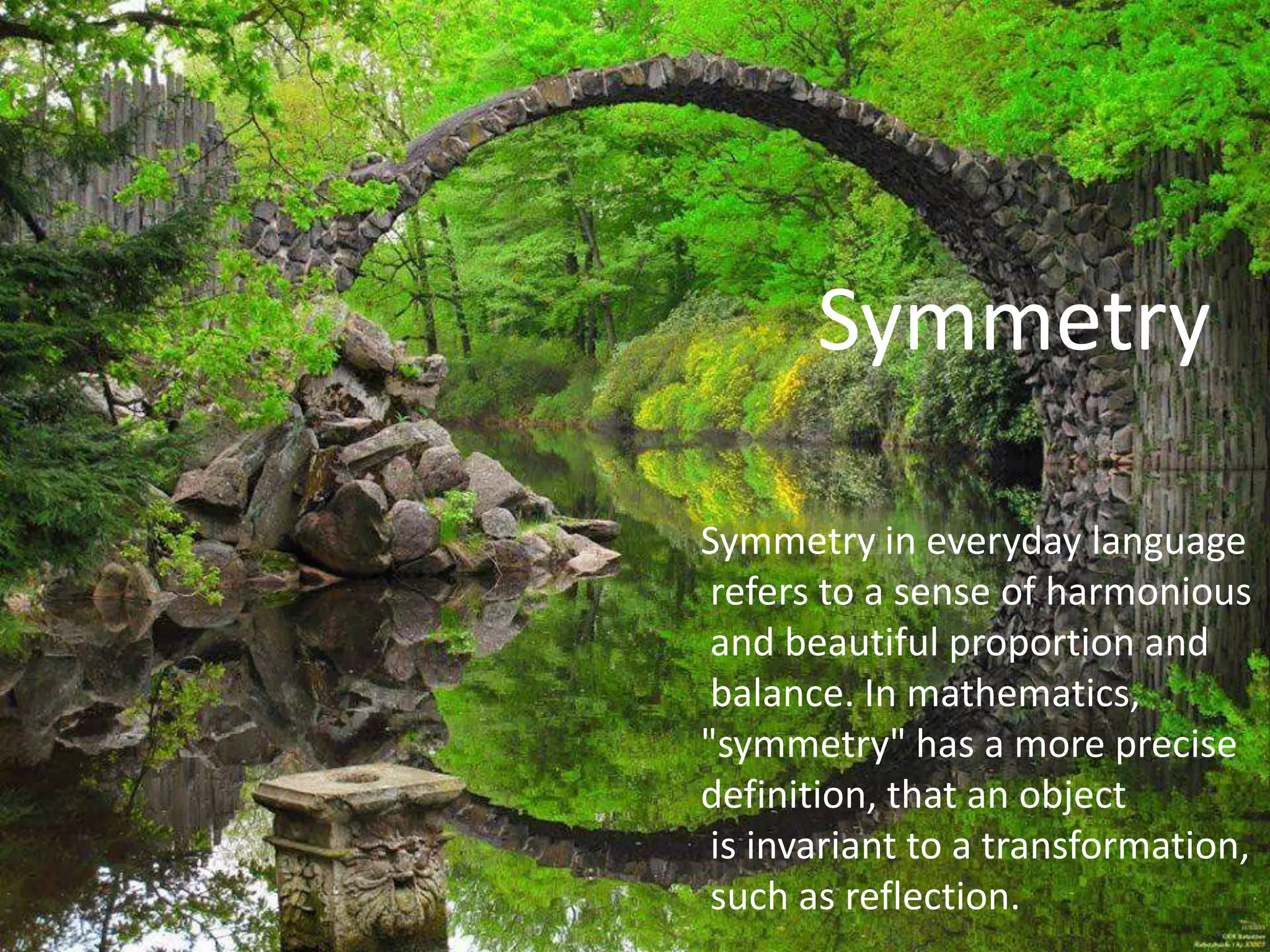 Matematika symetry in nature | PPT