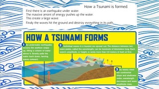 Tsunami | PPT