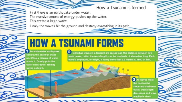 Tsunami | PPT