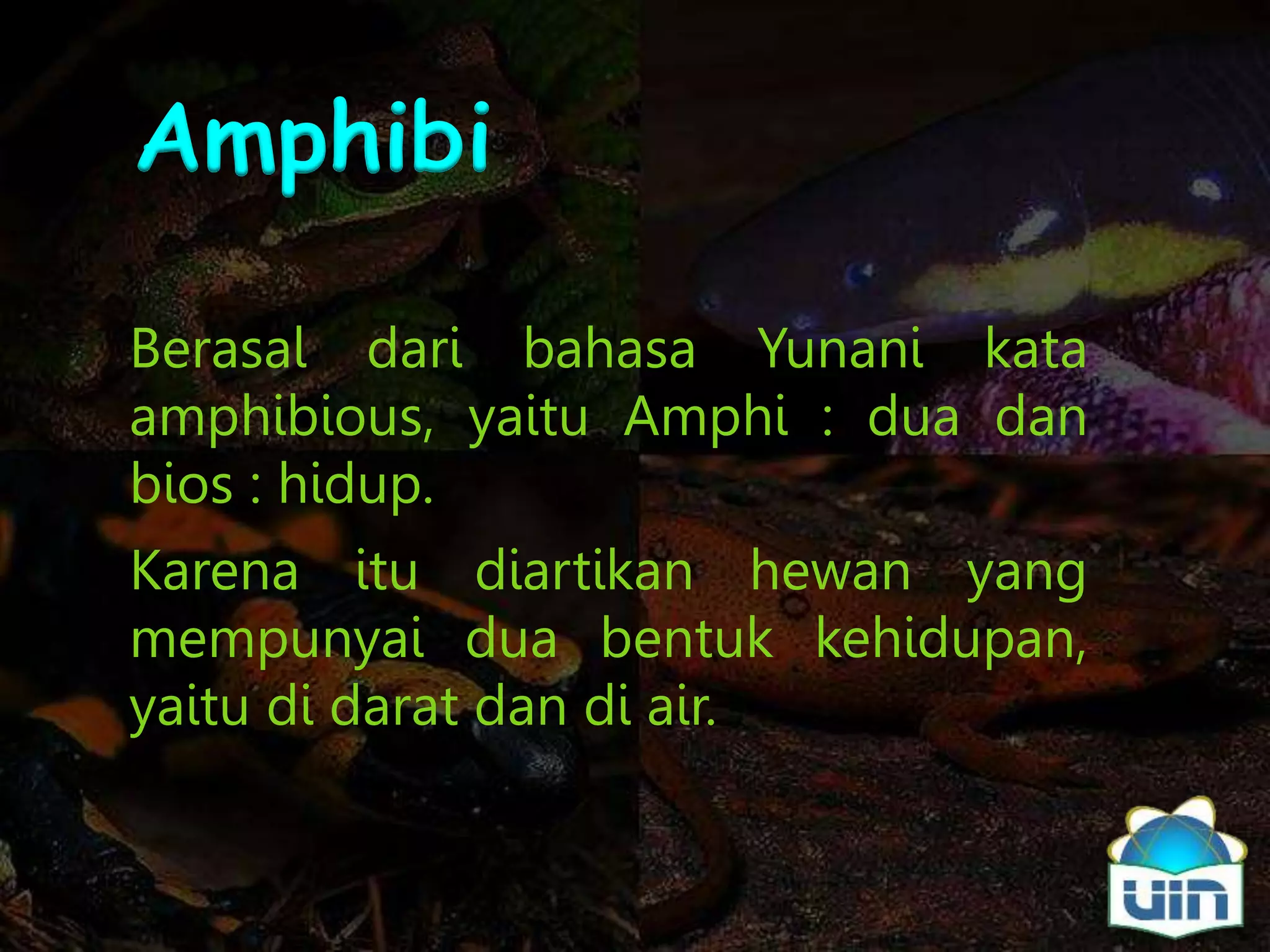 Materi 1-pengenalan-amfibi | PPTX