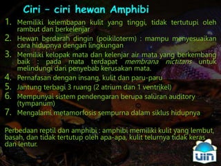 Materi 1-pengenalan-amfibi | PPTX