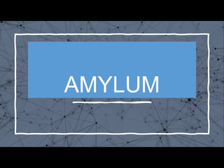 MATERI- AMYLUM ( pati ) mengandung karbohidrat | PPTX