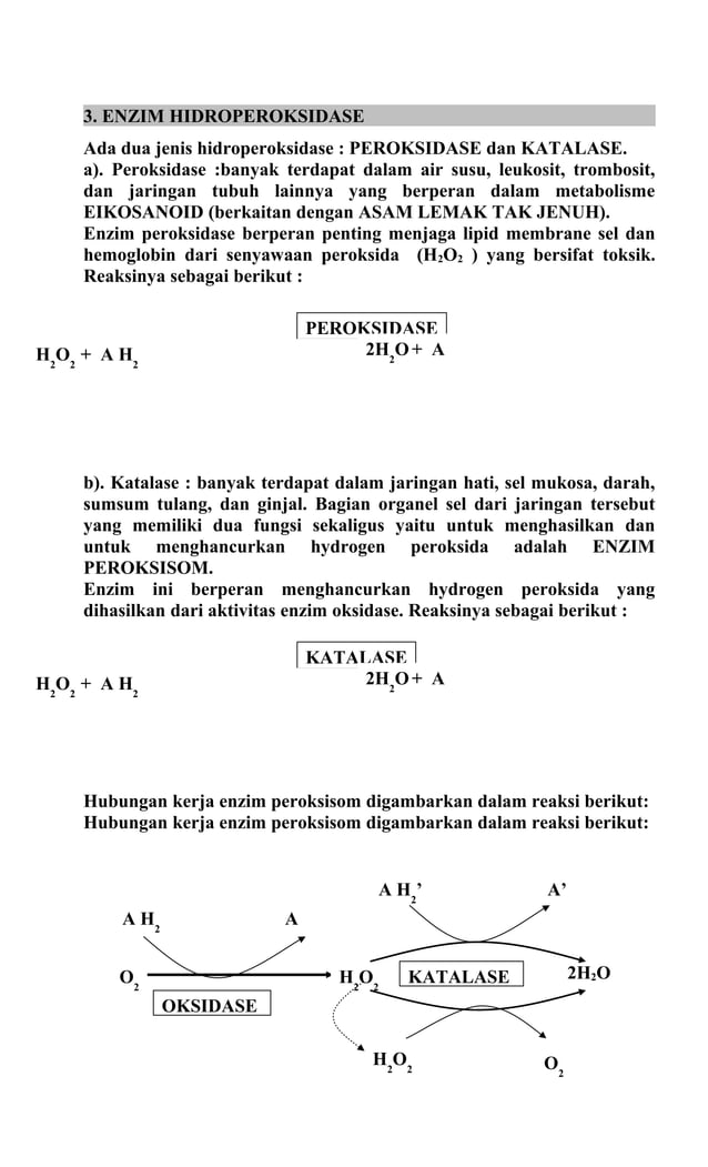 Materi Biokimia | DOC