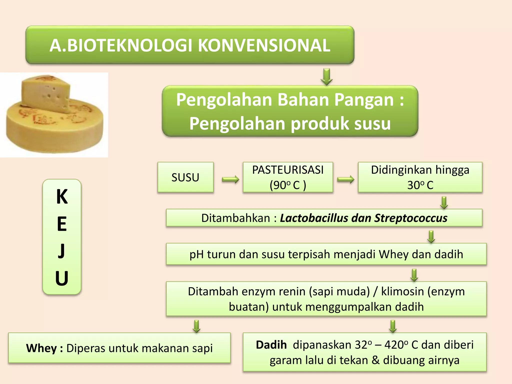 materi-bioteknologi.ppt