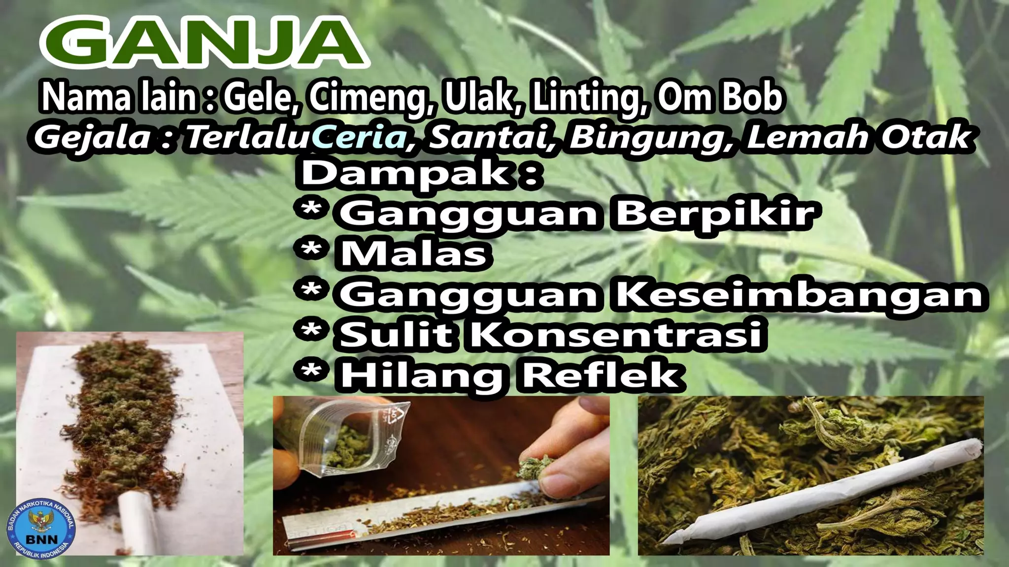 MATERI-BNN-Pemahaman-Bahaya-Narkoba.pdf