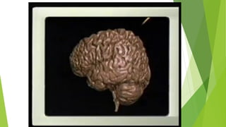 MATERI-BNN-Pemahaman-Bahaya-Narkoba.pdf