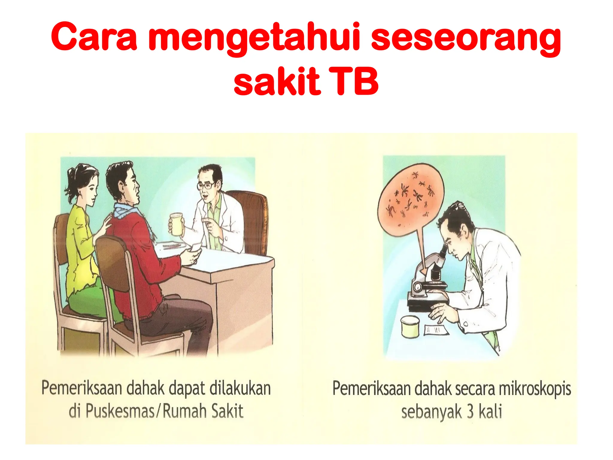 materi dasar tatalaksana tuberkulosis untuk umum | PPTX