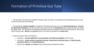 Materi - Embriologi GIT.pptx