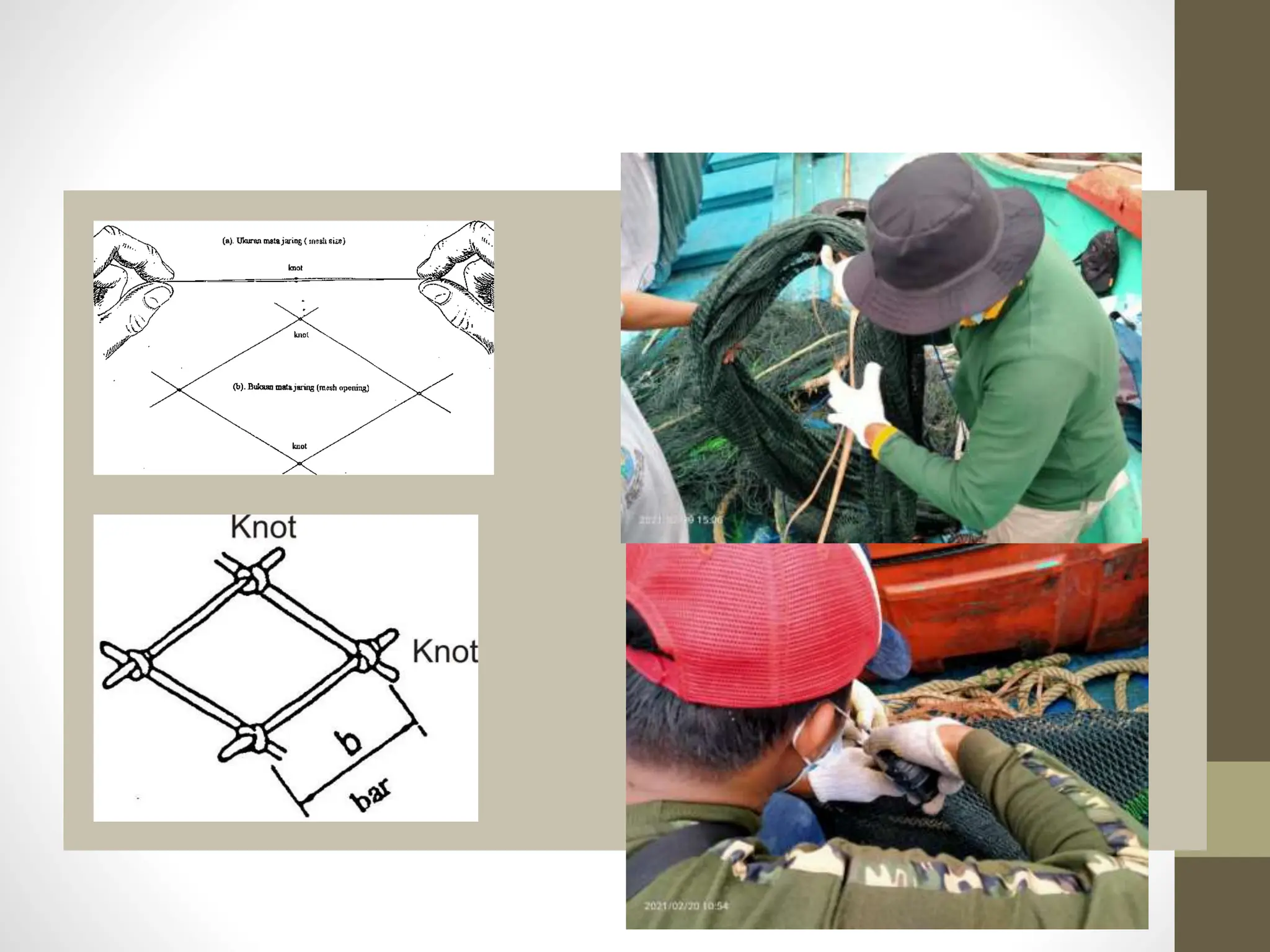 Materi - Jaring Tarik Berkantong untuk nelayan | PPTX