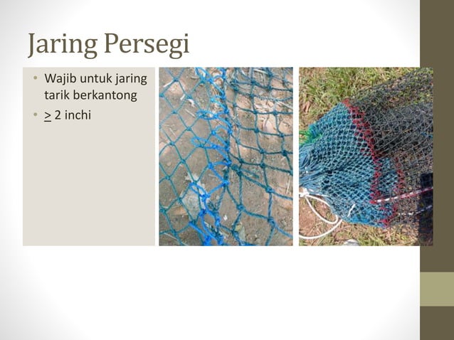 Materi - Jaring Tarik Berkantong untuk nelayan | PPTX