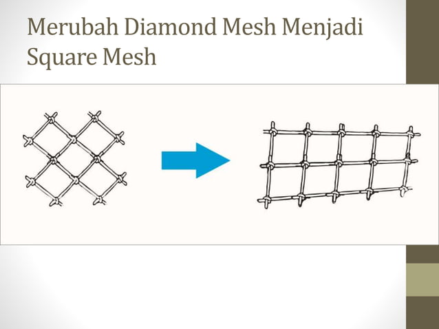 Materi - Jaring Tarik Berkantong untuk nelayan | PPTX