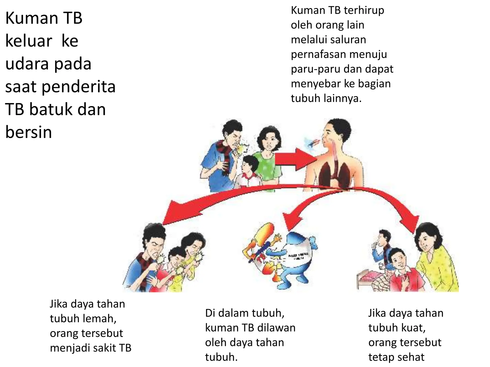 Materi-Penyuluhan-TB.ppt