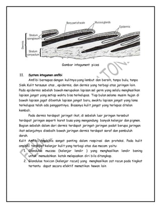 MATERI-SISTEM-INTEGUMEN.docx