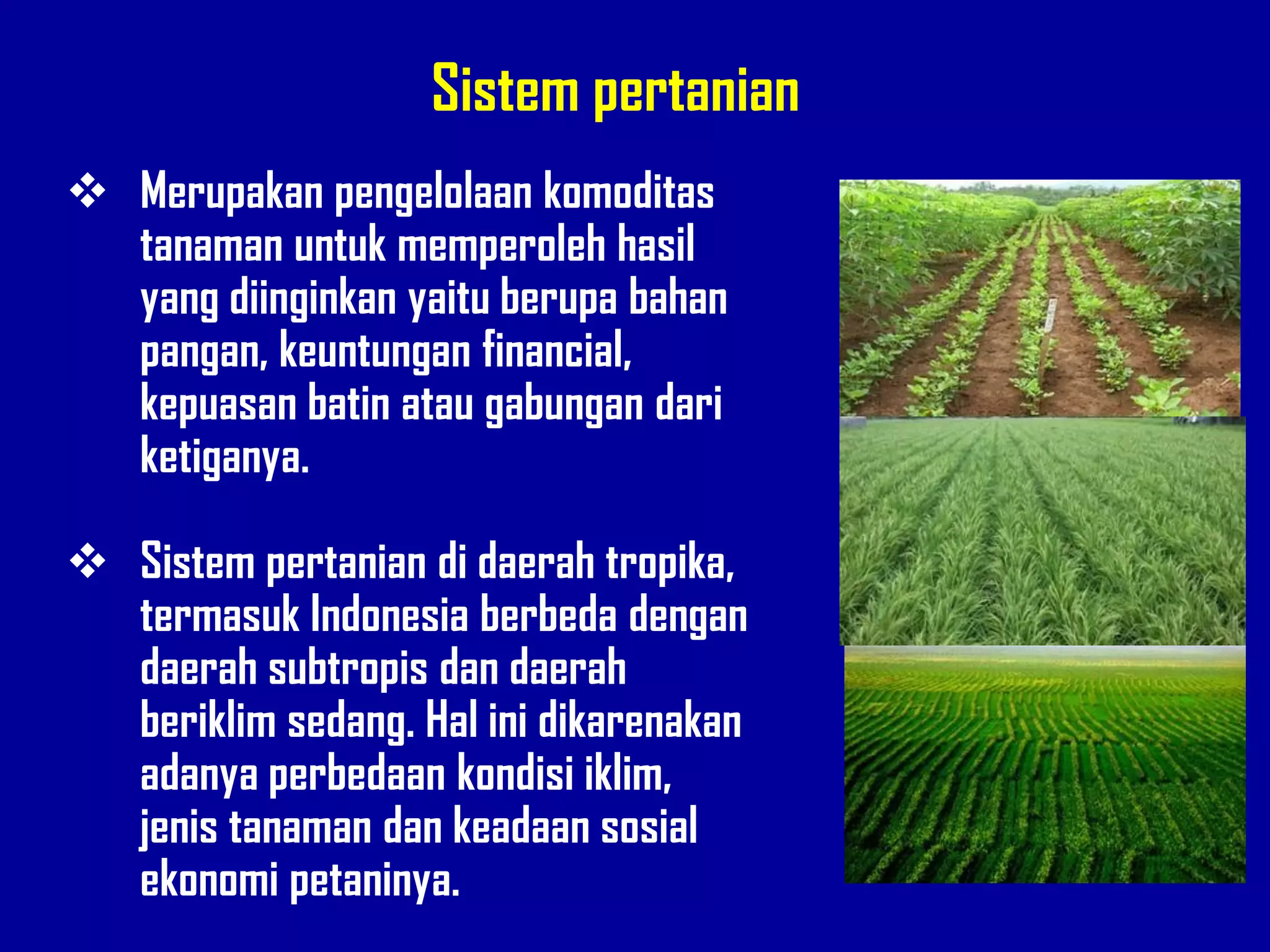 Materi 04. Sistem Pertanian (1).pdf