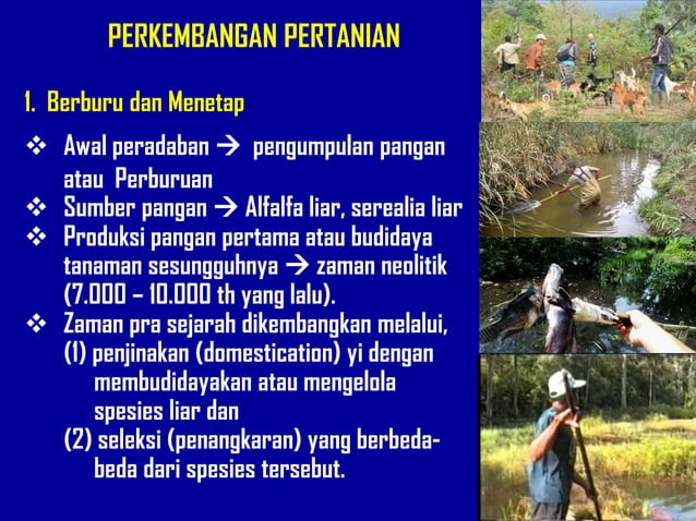 Materi 04. Sistem Pertanian (1).pdf
