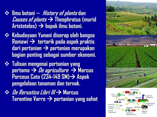 Materi 04. Sistem Pertanian (1).pdf