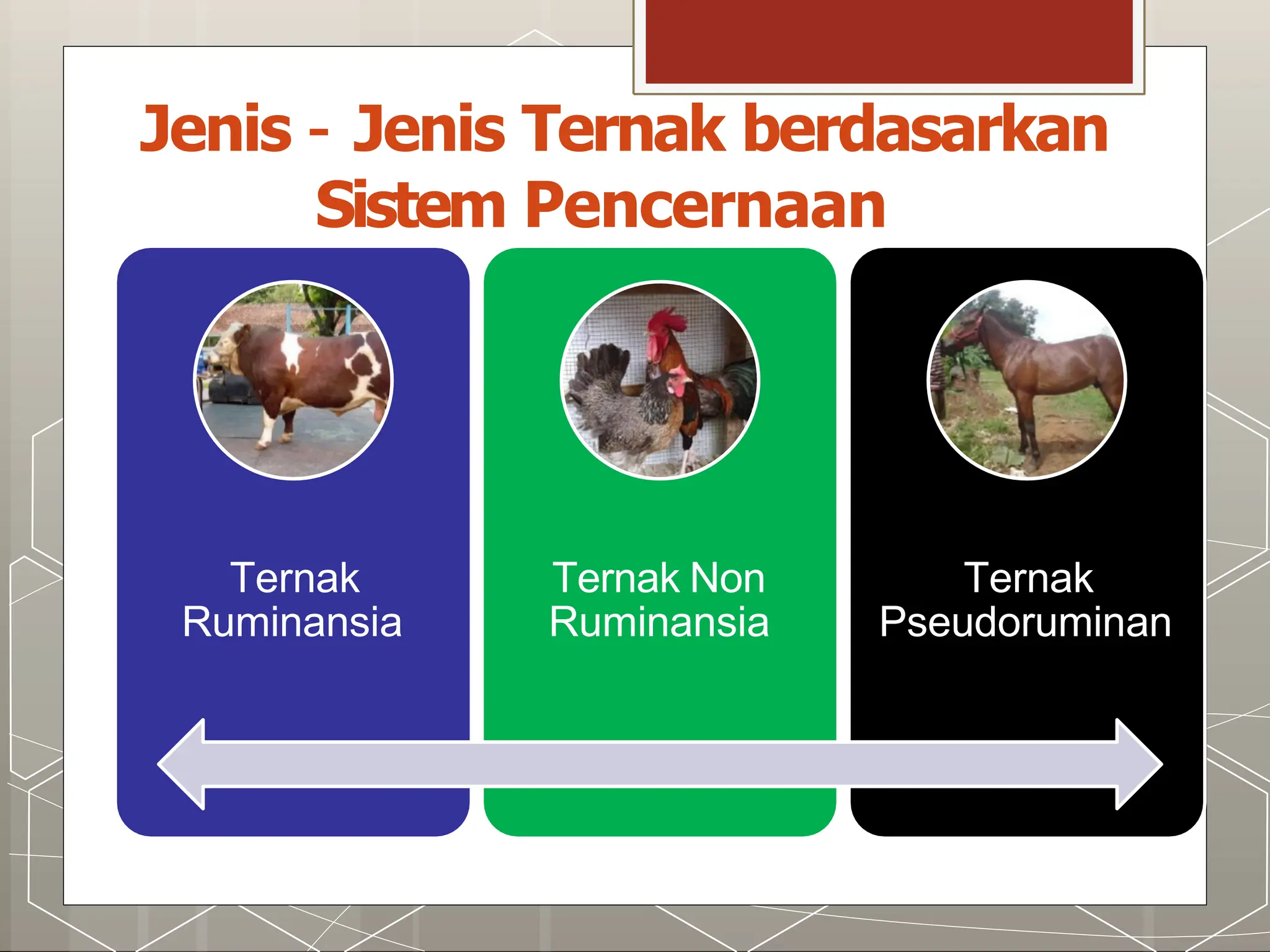 Materi 1. Jenis dan Perkandangan Ternak Ruminansia.pdf