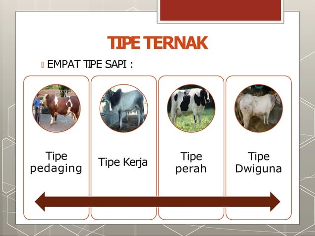 Materi 1. Jenis dan Perkandangan Ternak Ruminansia.pdf