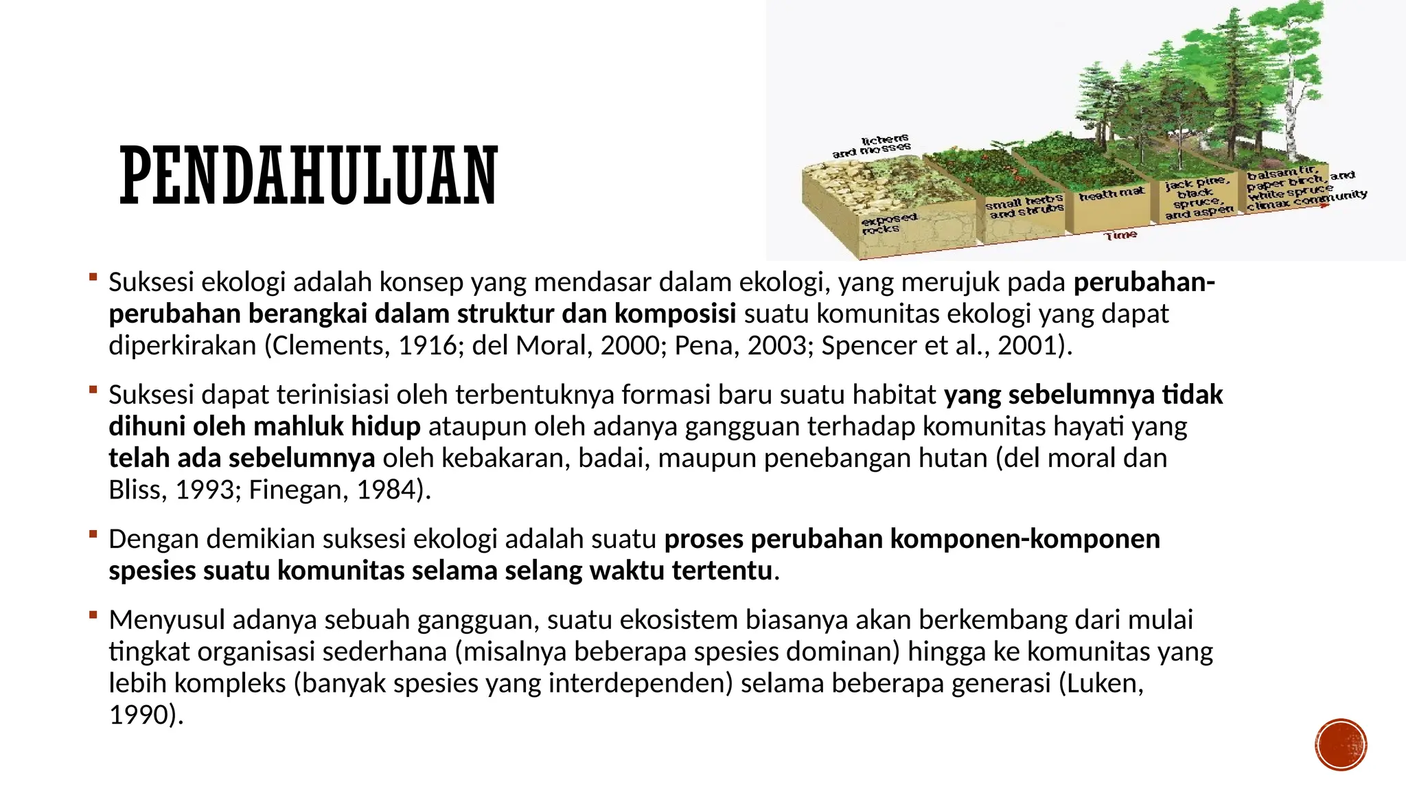 Materi tentang Suksesi Hutan dan Ekosistem | PPTX