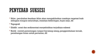 Materi tentang Suksesi Hutan dan Ekosistem | PPTX