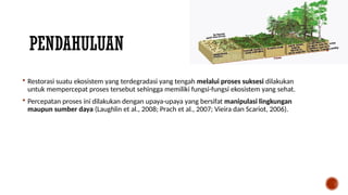 Materi tentang Suksesi Hutan dan Ekosistem | PPTX