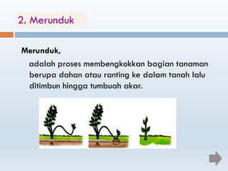 Materi 1-4. Pertumbuhan dan Perkembangan Tumbuhan.pdf