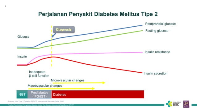 MATERI 1 - Pencegahan dan Pengendalian DMT2, Singkawang - Kalbar 2024 ...