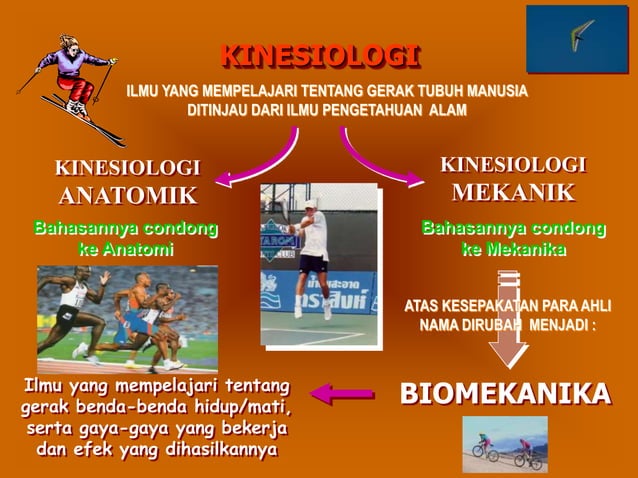Biomekanika.ppt
