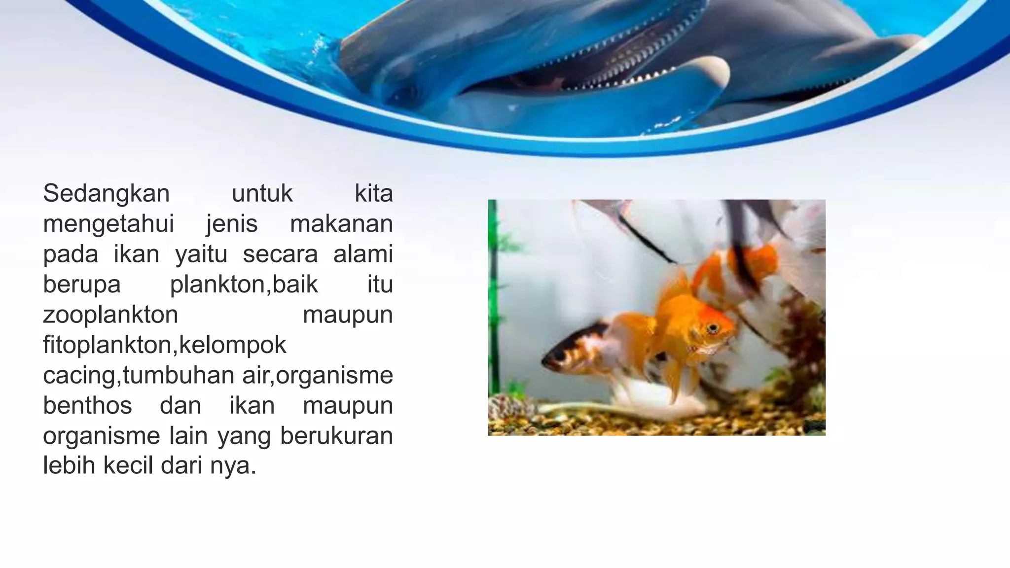 Materi 11 Kebiasaan dan Cara Makan Pada ikan.pptx