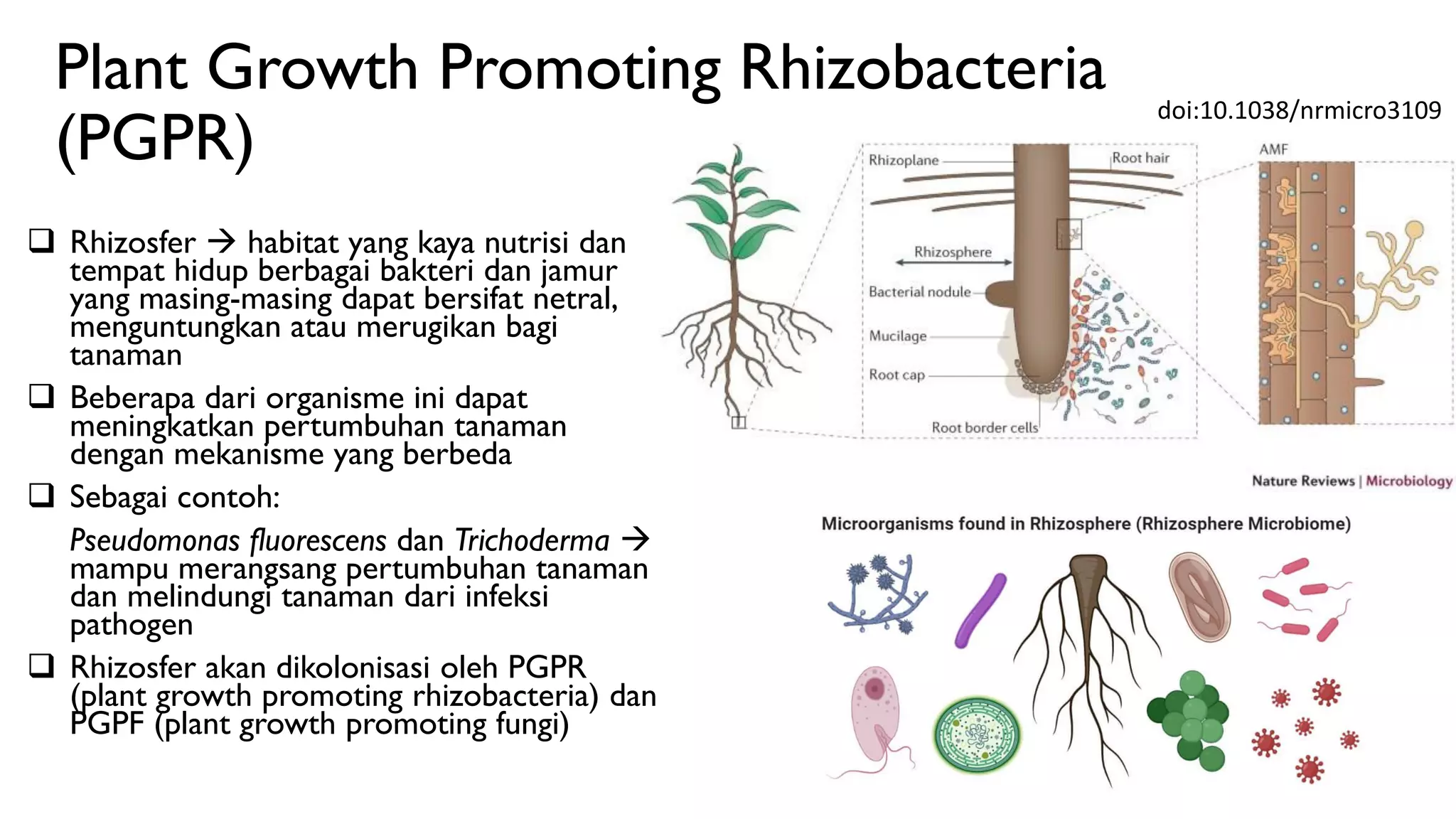 Materi 14 Pemanfaatan bakteri dalam industri dan pertanian.pdf