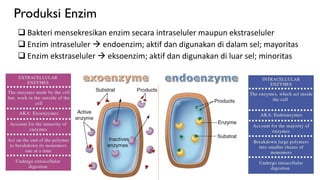 Materi 14 Pemanfaatan bakteri dalam industri dan pertanian.pdf