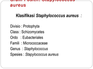 MIKROBIOLOGI: BAKTERI | PPT