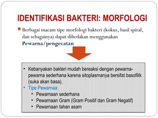 MIKROBIOLOGI: BAKTERI | PPT