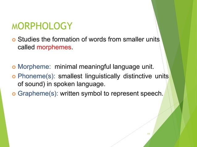 English Phonetics and Phonology | PPTX | Science