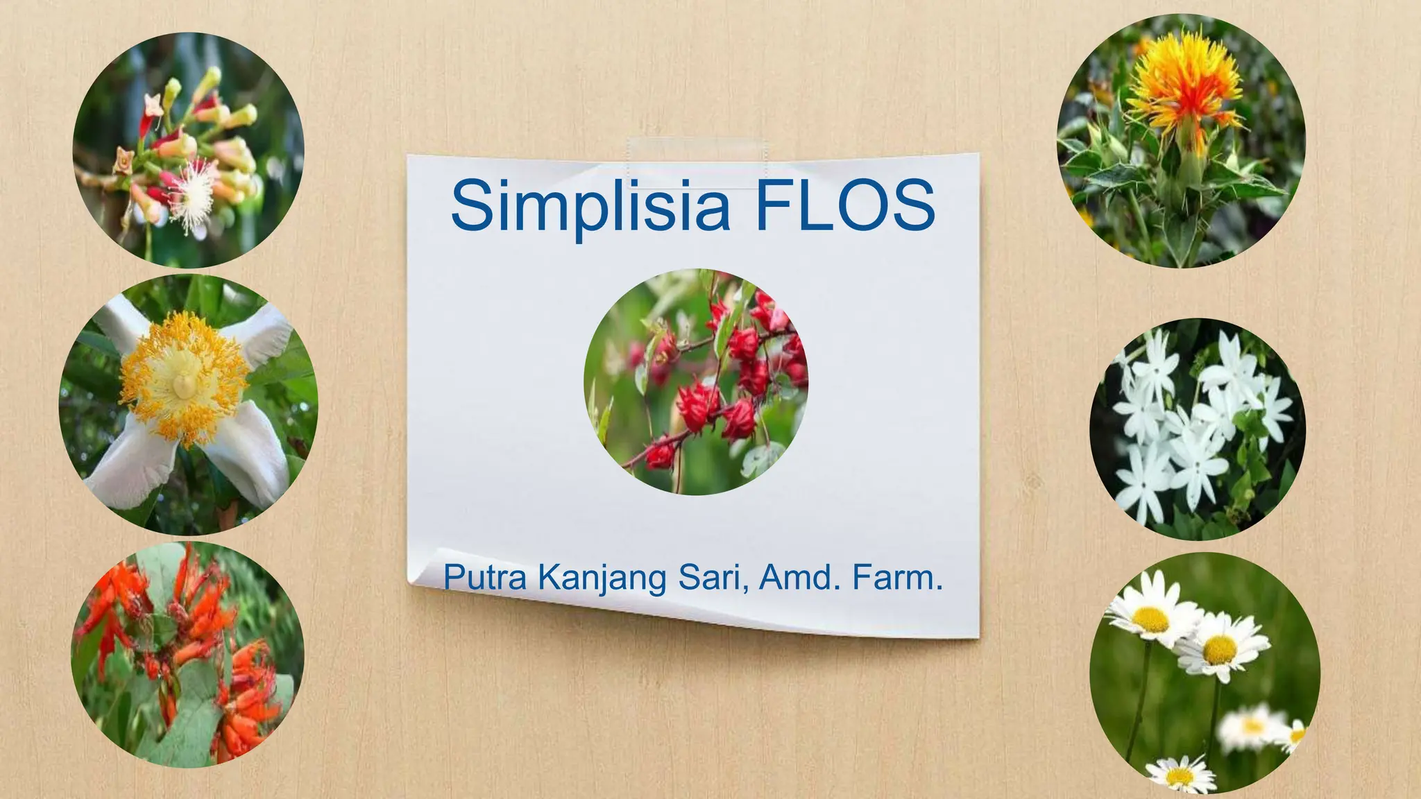 materi 1 Farmakognosi kelas XI F (Simplisia FLOS).pptx
