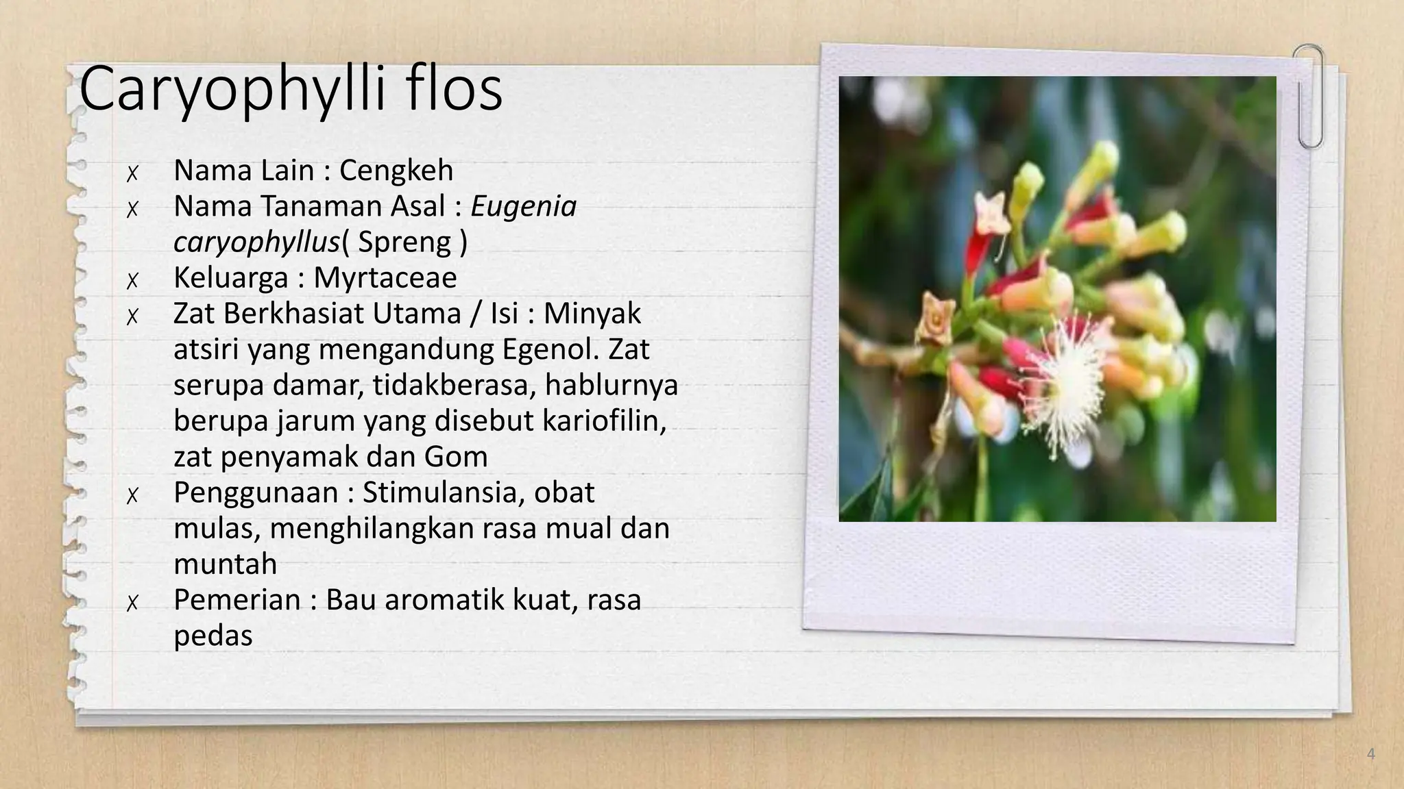 materi 1 Farmakognosi kelas XI F (Simplisia FLOS).pptx