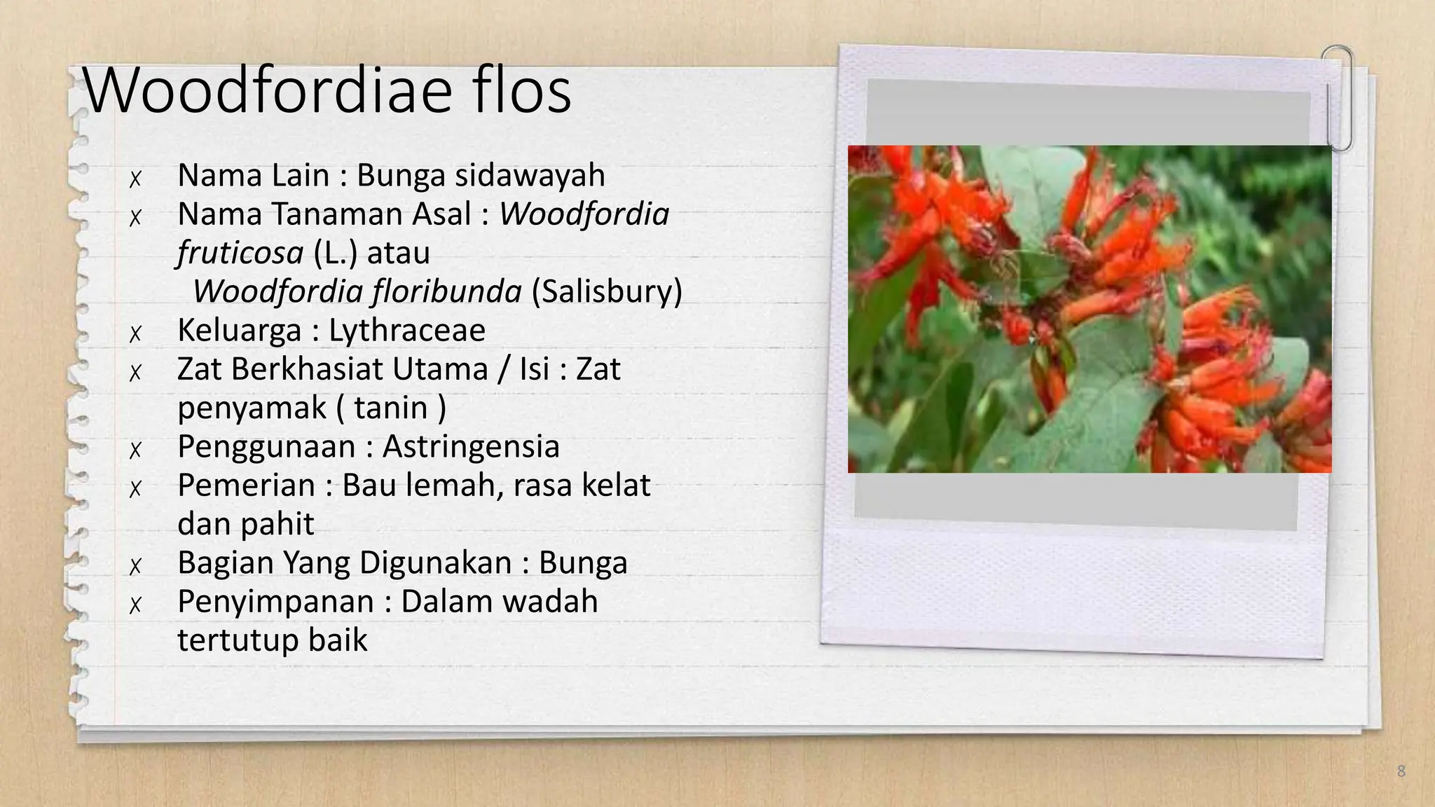 materi 1 Farmakognosi kelas XI F (Simplisia FLOS).pptx